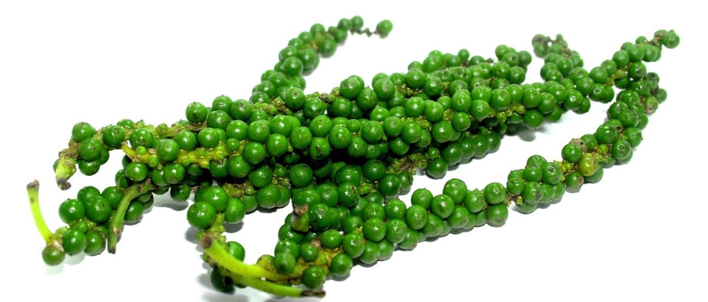 De werking van bioperine peper in curcumine? De Kurkuma Specialist